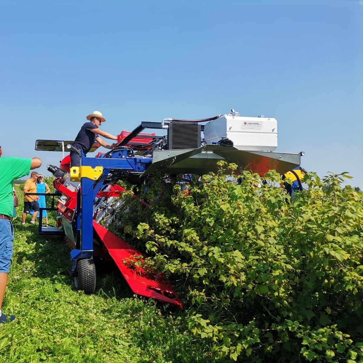 Berry harvester machine - OSKAR A01 - JAGODA JPS Agromachines - black ...