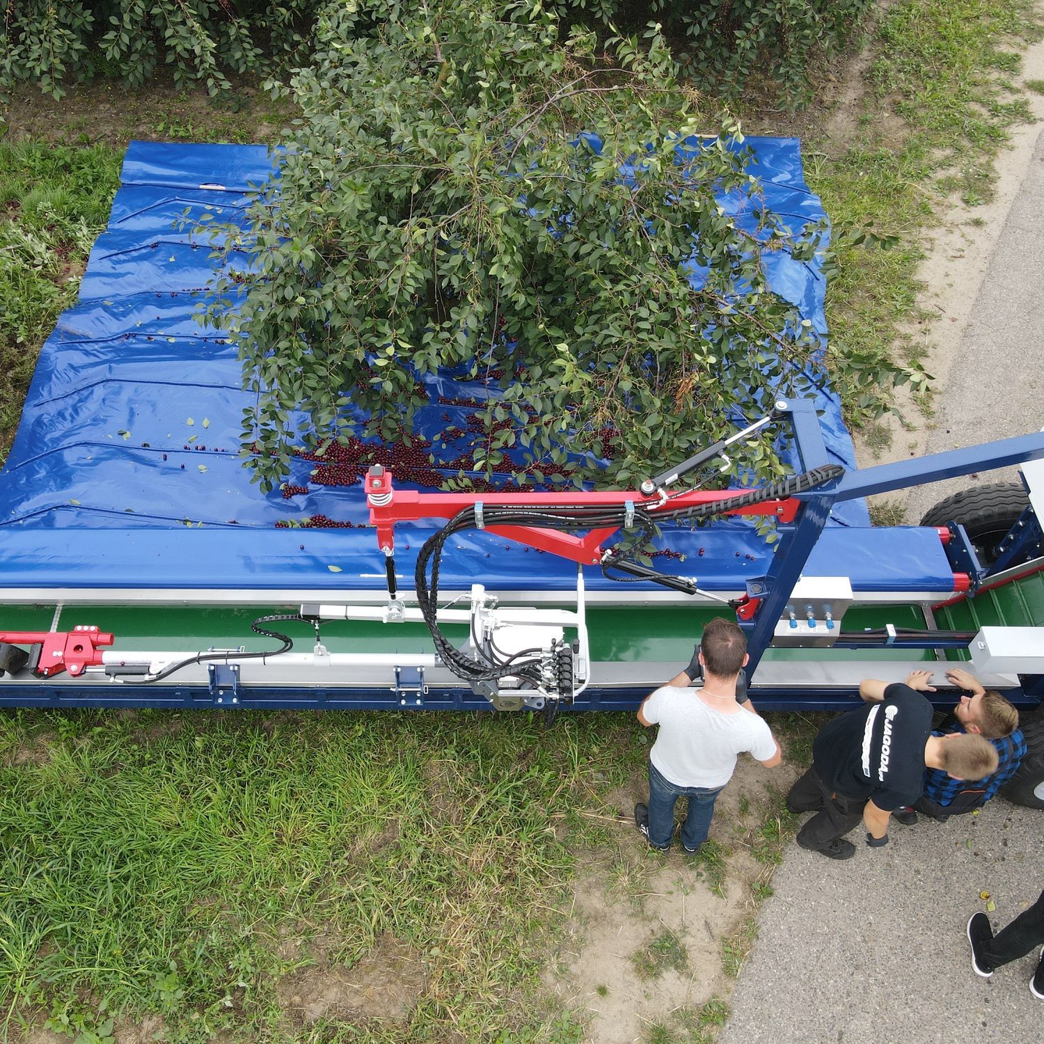 Olive tree shaker - G-004 - JAGODA JPS Agromachines - tractor-mounted ...