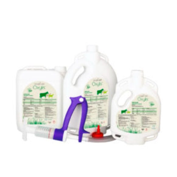 Animal feed supplement - Oxylis - vetalis-technologie - cattle / for ...