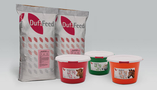Pig milk replacer - Milk-Rep Piglet - dufafeed - powder / stimulate ...