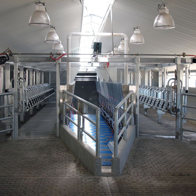 Parallel milking parlor - agromaster - for cows