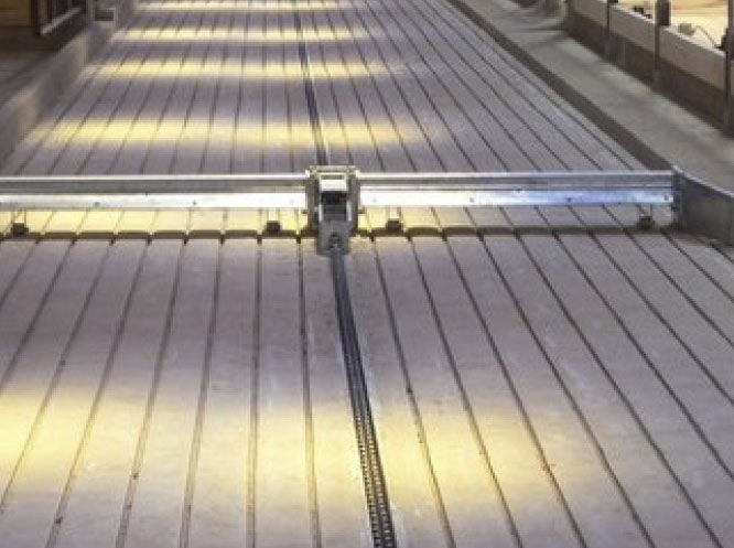 Chain manure scraper - GY-GSZB - Intermilk - straight