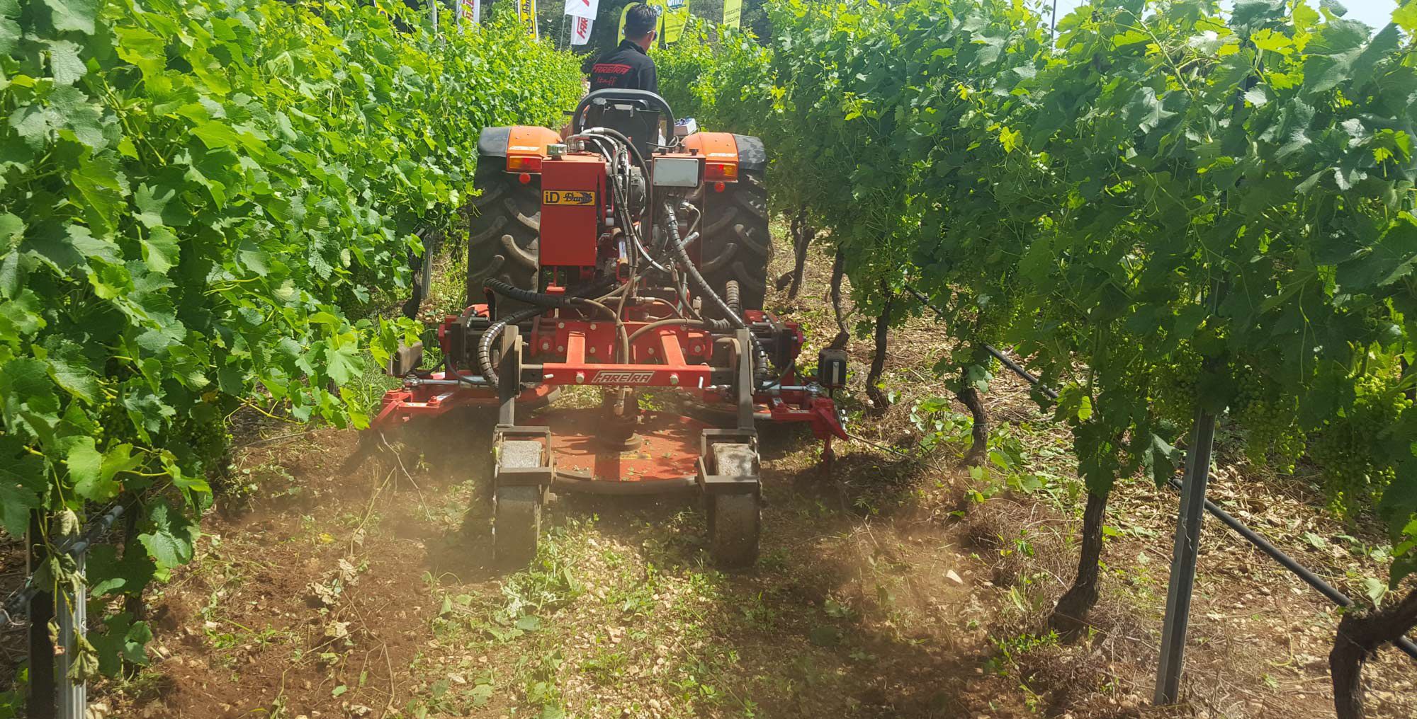 Mechanical weeder - BIO Series - id-david - mounted / vineyard / intercep