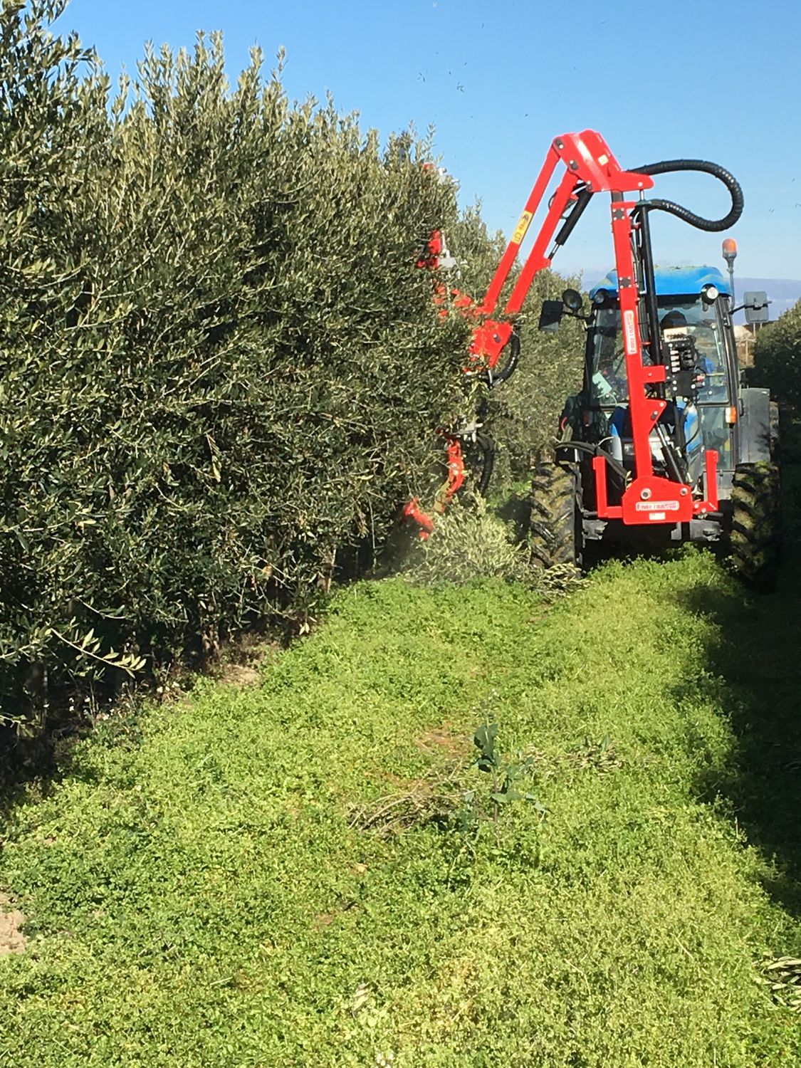 Orchard pruning machine - PFSA Series - id-david - tractor-mounted ...