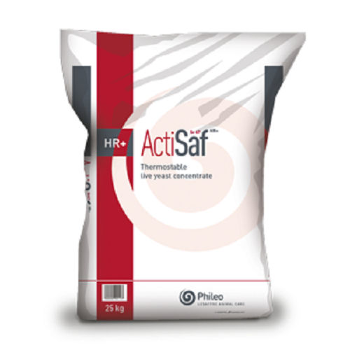 Animal feed supplement - Actisaf® Series - phileo-lesaffre - cattle ...