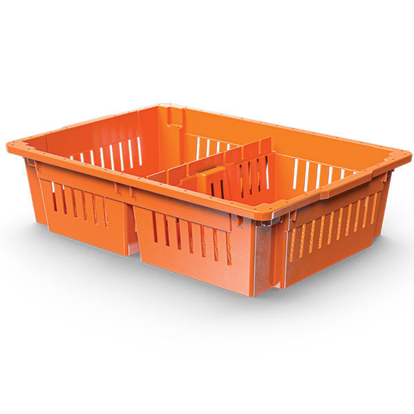 Chick transport box - 0402002 - Giordano Global - plastic