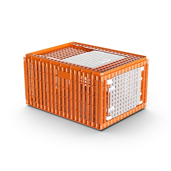 Turkey transport cage - 0103002 - Giordano Global - goose / plastic