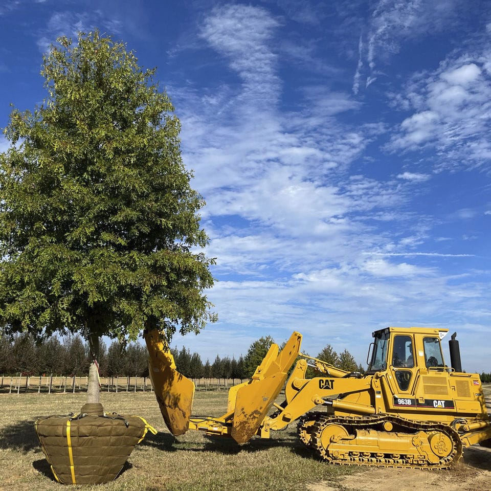 Skid steer loader tree spade - 330i - Dutchman Industries