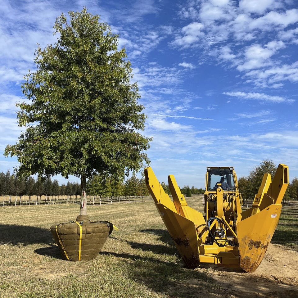 Tree spade - Coned 30° - Dutchman Industries