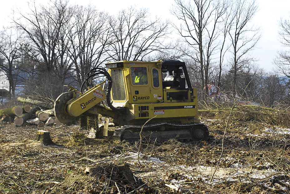 Tractor-mounted stump grinder - T260 - Rayco - crawler
