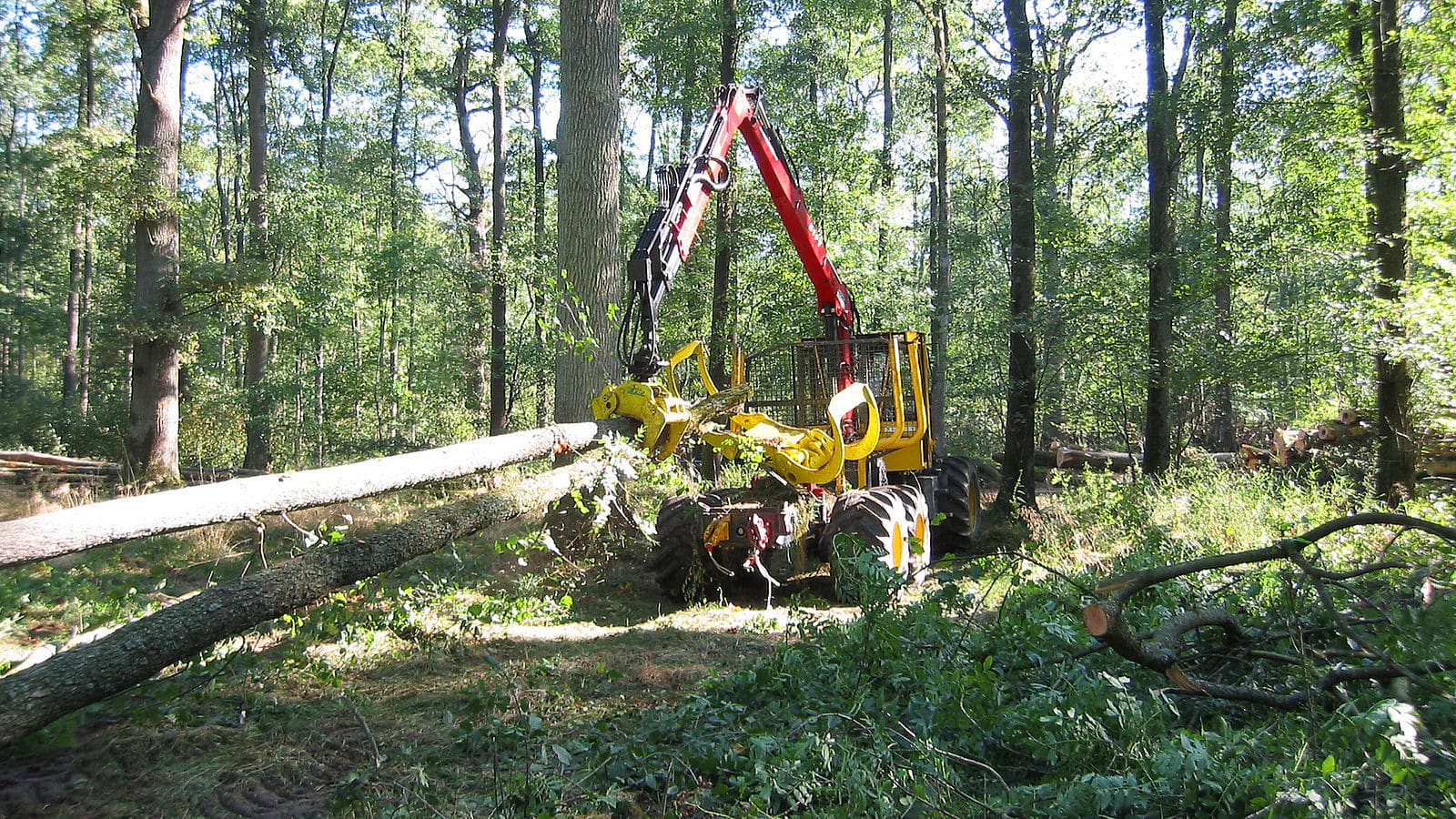 Forestry skidder with grab - W130T - welte - self-propelled / with grab