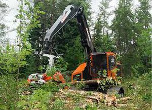 Tracked forestry harvester - 260B-D - barko - with crane