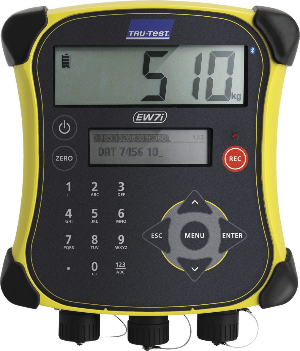 Cow weighing system - Pearson Livestocke Equipement - digital ...