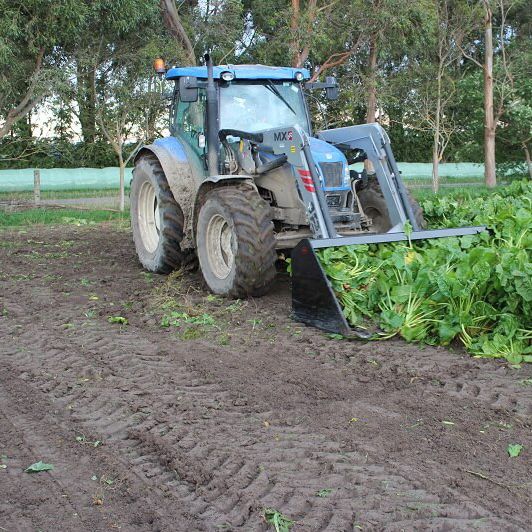 Shovel bucket - Fodder Beet Harvester Bucket - Rata Equipment