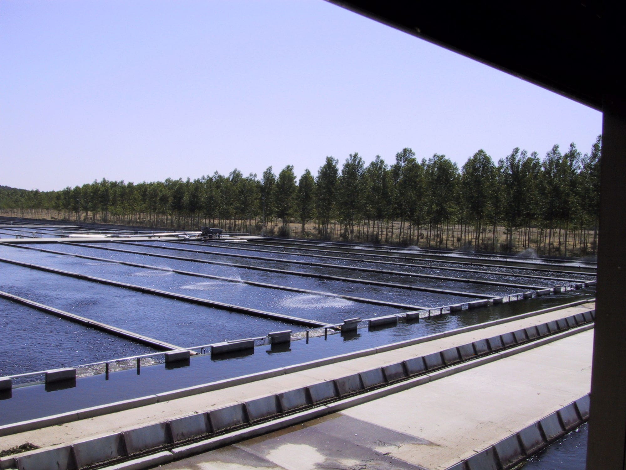 Hopper feeding system - SDAP - teraqua - for aquaculture / automatic