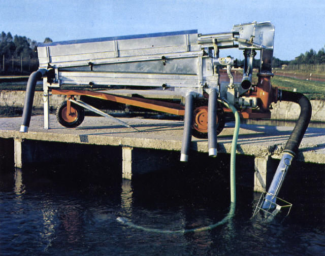 5-channel fish grader - Combinato - milanese italia - stainless steel ...