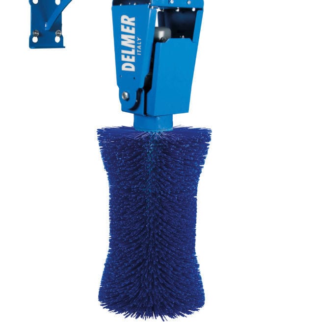 Livestock comfort brush - Delmer SRL - rotating / cows / vertical