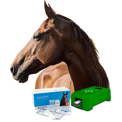 Diagnostic medical kit - lifeassays - veterinary / for equines