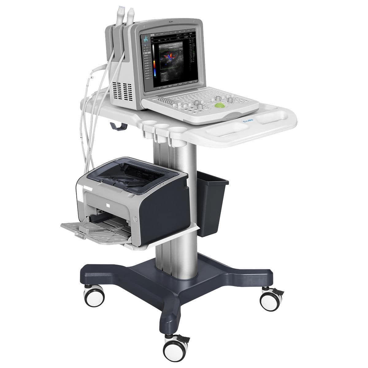 Portable Doppler veterinary ultrasound system - FDC6000V - Shenzhen ...