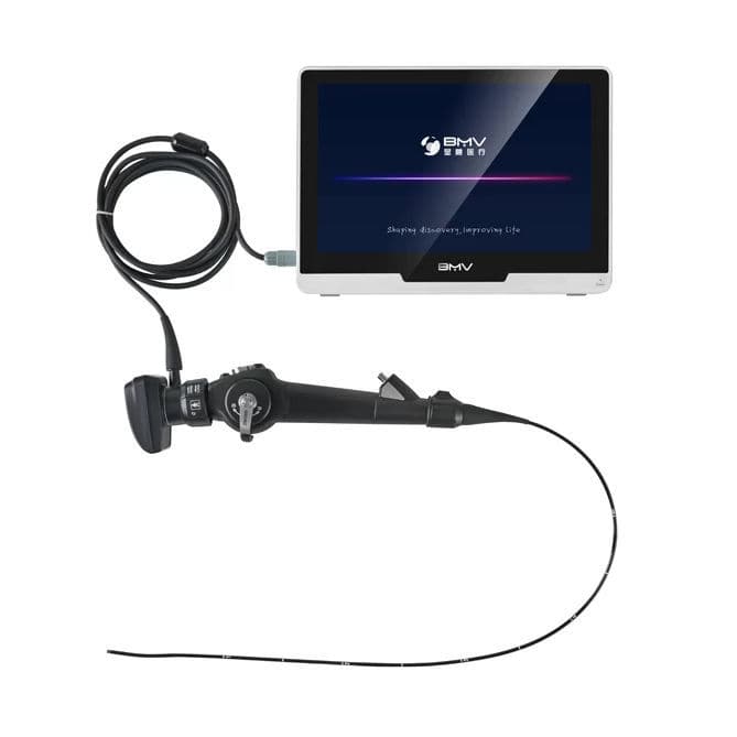 Flexible veterinary endoscope - bmv-vet - for small animals / urinary ...