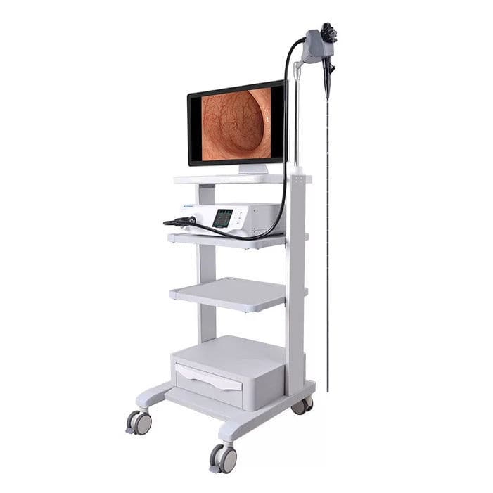 Flexible veterinary endoscope - BVI-12 - bmv-vet - for horses ...