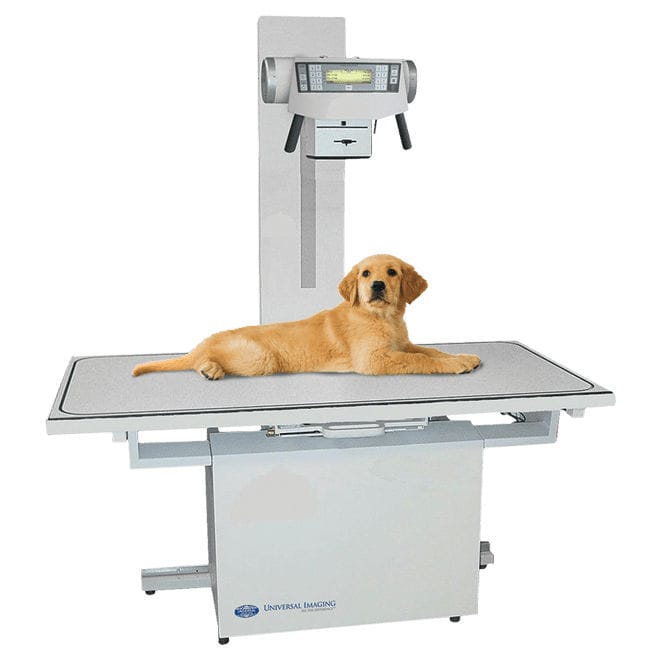 Digital veterinary X-ray system - universal Imaginginc - for domestic ...