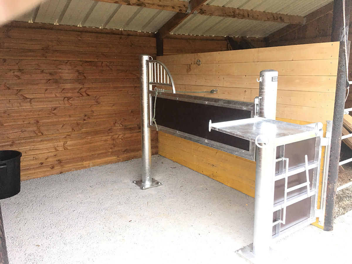 Horse squeeze chute - 2080001 - Technibelt