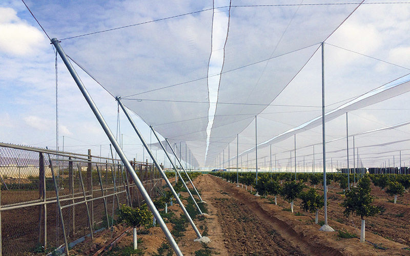 Insect net - RabitaInsect - Rábita Agrotextil - HDPE / for crops / for ...