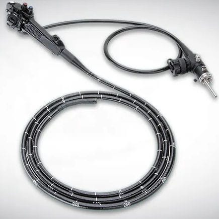 Flexible veterinary endoscope - 60914PKSK/60914NKSK - KARL STORZ ...