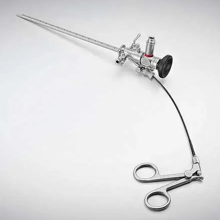 Rigid veterinary endoscope - 63002LA - KARL STORZ ENDOSKOPE - for small ...