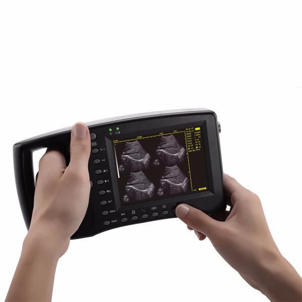 Portable ultrasound scanner - SonoScan A3V - shinova vet - for dogs ...