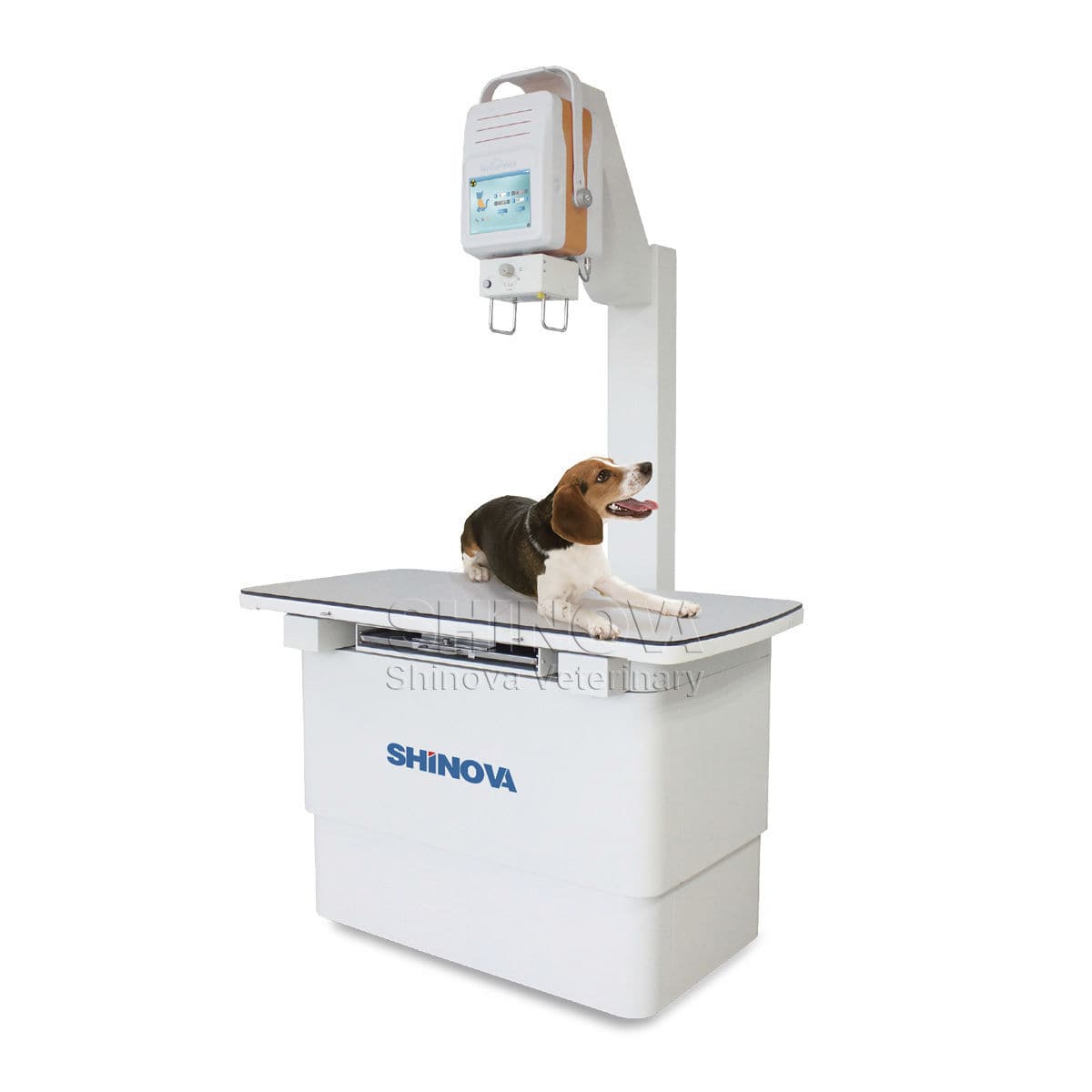 Digital veterinary X-ray system - DR-60B(V) - shinova vet - for ...
