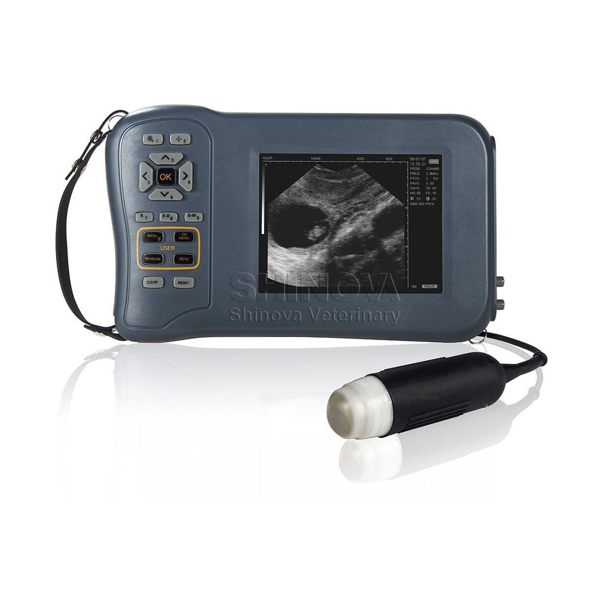 Hand-held ultrasound scanner - SonoScan B5V - shinova vet - for cattle ...