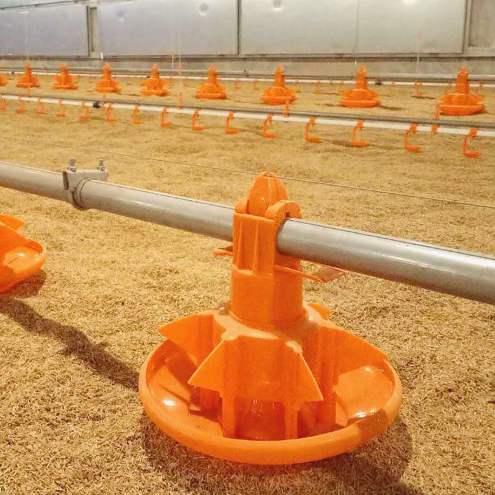 Poultry feeding equipement - cnbaichen - tube / with controller