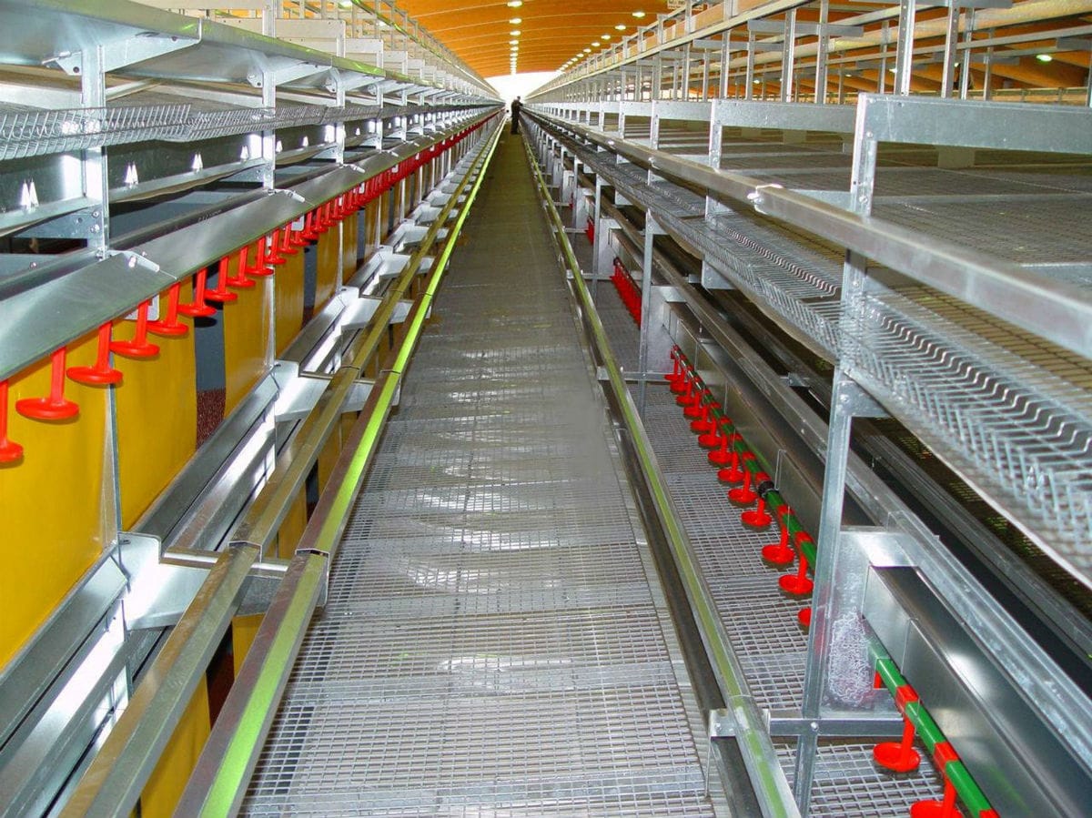 Layer hen aviary system - High Rise 3 - Salmet - multi-tier / indoor