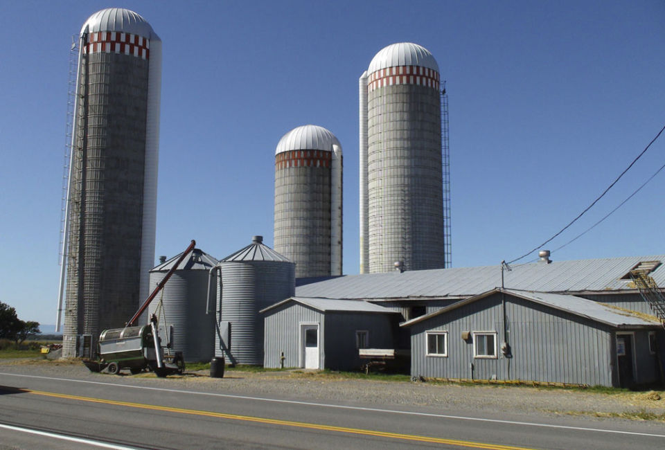 Forage silo / animal feed / steel / galvanized steel - silosuperieur