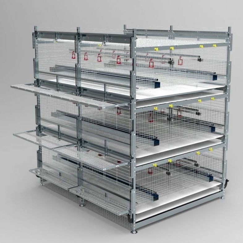 Convertible pullet farming system - Baby Belt Convertible - VALLI S.r.l ...