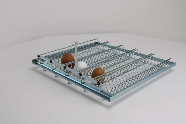 Setter tray - MS35 - broedmachine