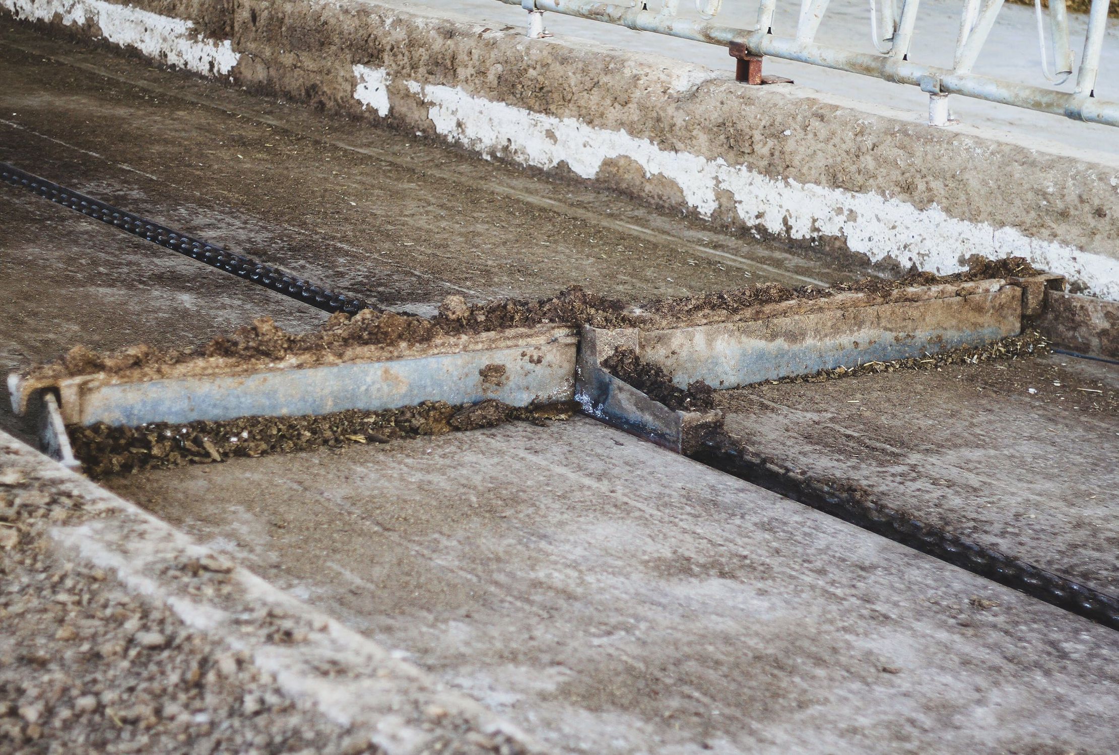 Chain manure scraper - ZS45 - ALSAC MAKINE - straight