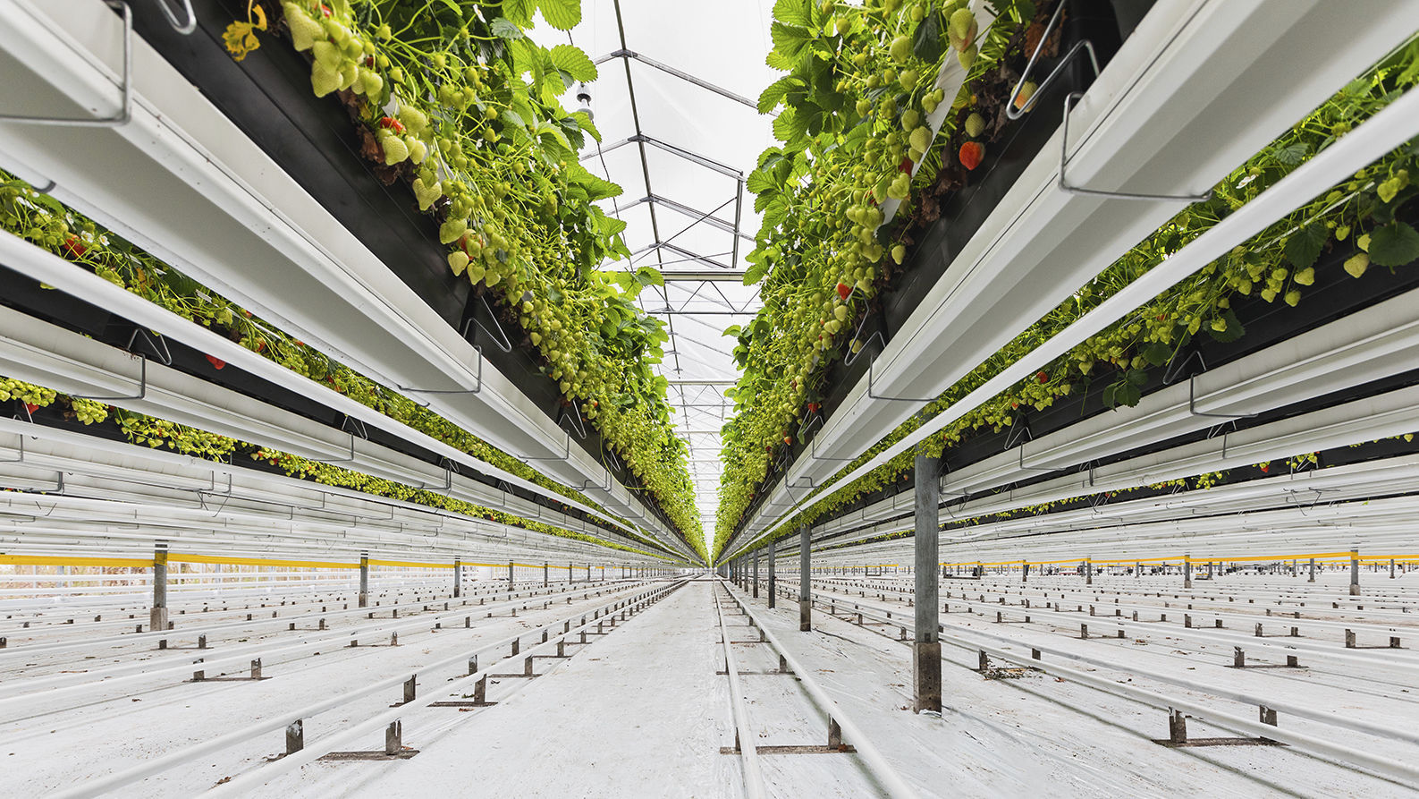 Plastic gutter system - Metazet FormFlex - hanging