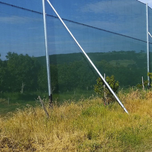 Wind protection netting - AGRONEW CO., LTD - HDPE / for farm buildings