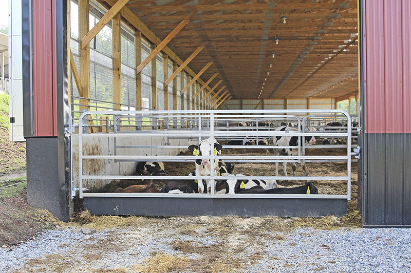 Livestock gate - Sturdy Built Manufacturing,LLC - stable / pasture ...