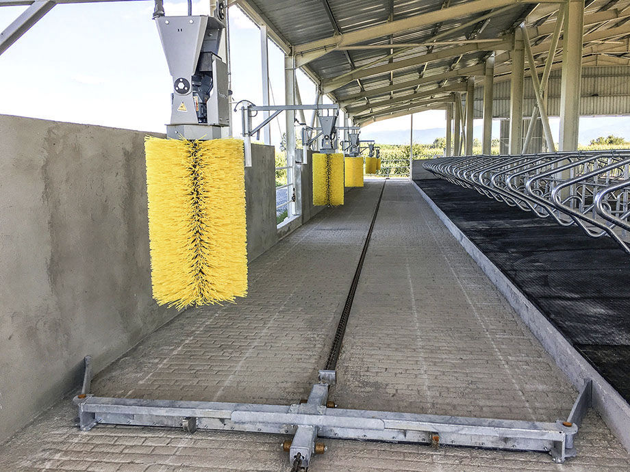 Chain manure scraper - farmtech - rope / straight / hydraulic