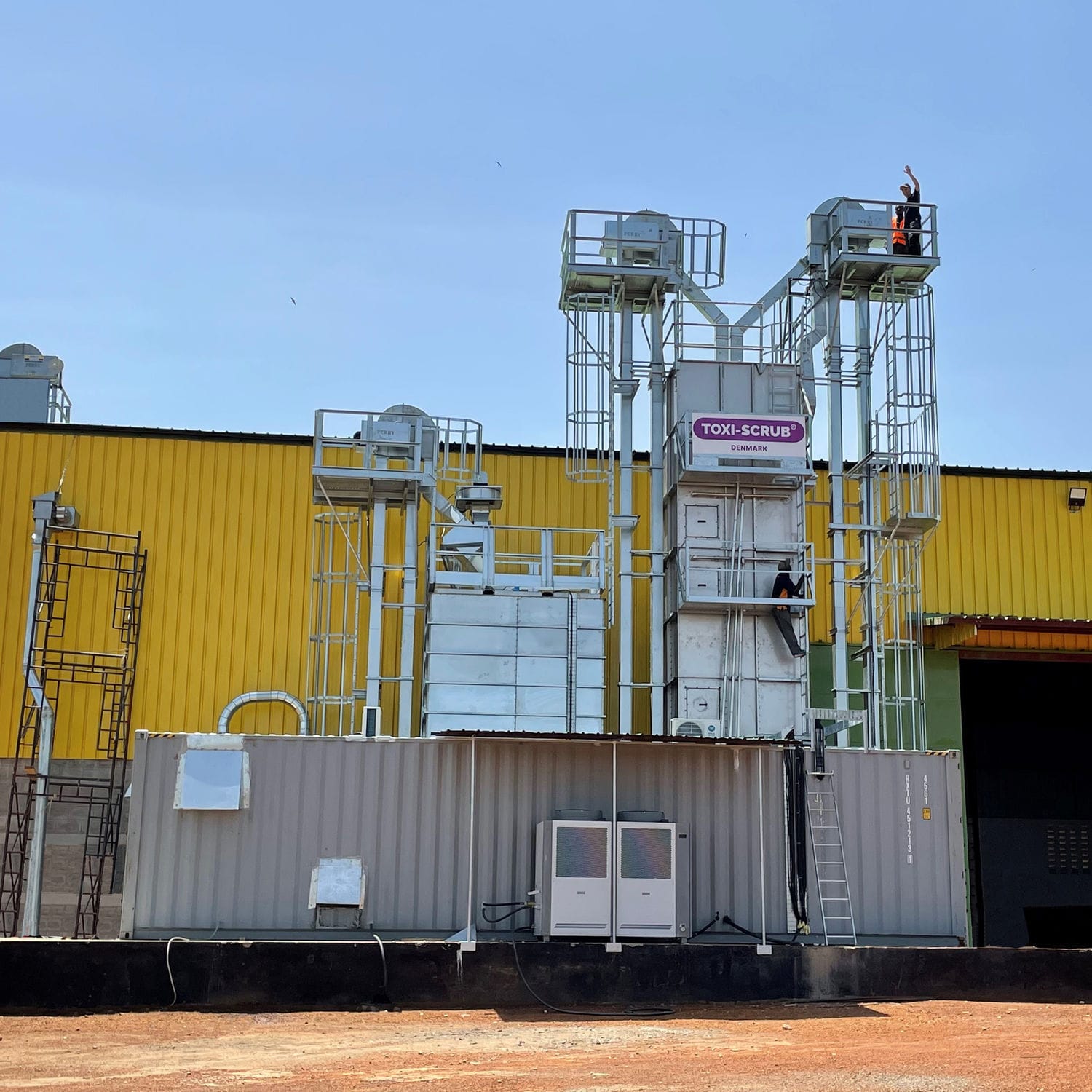 Detoxification processing line - TOXI-SCRUB - IGrain - for grain