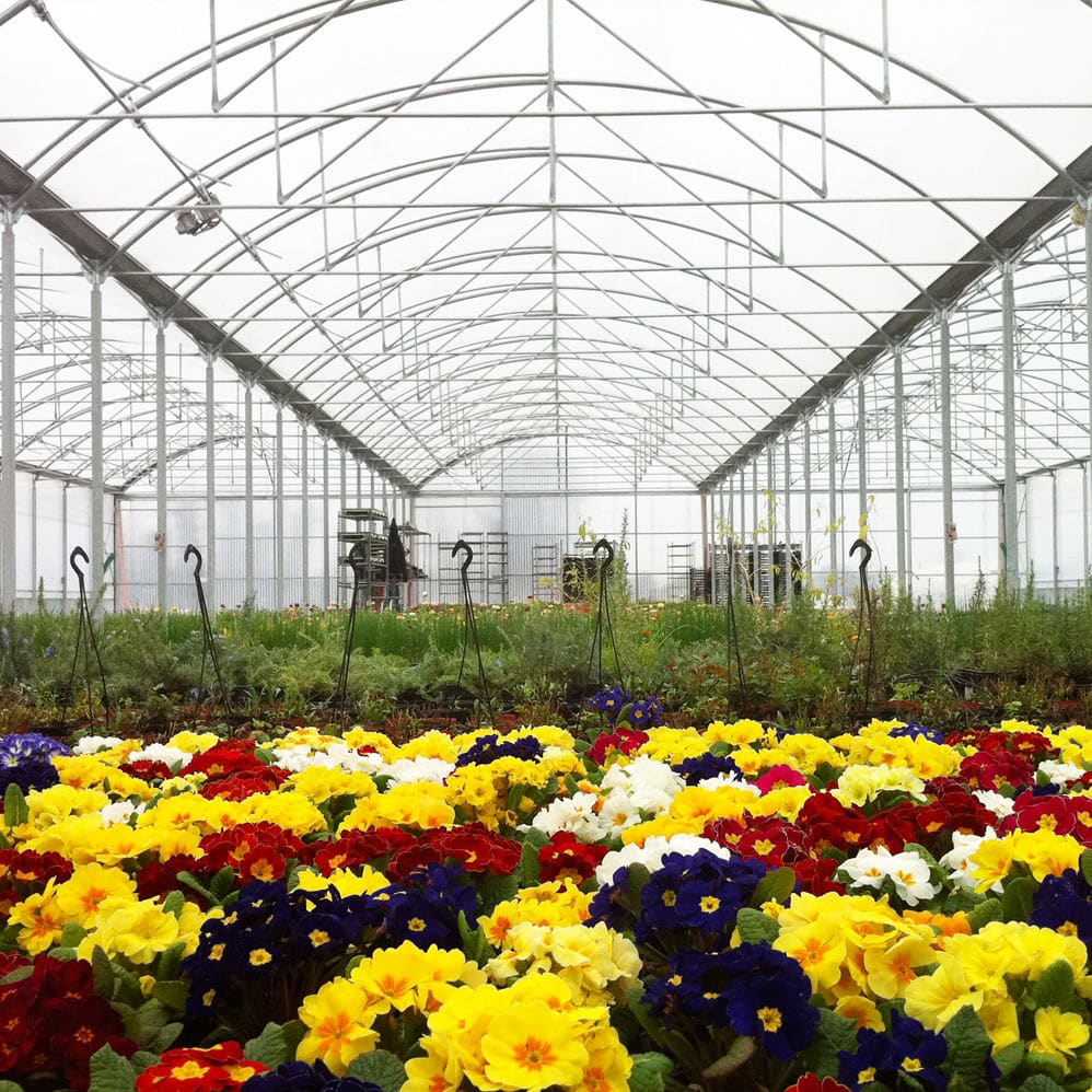 Multi span greenhouse - Co. Ser. - costruzioni serre - commercial ...