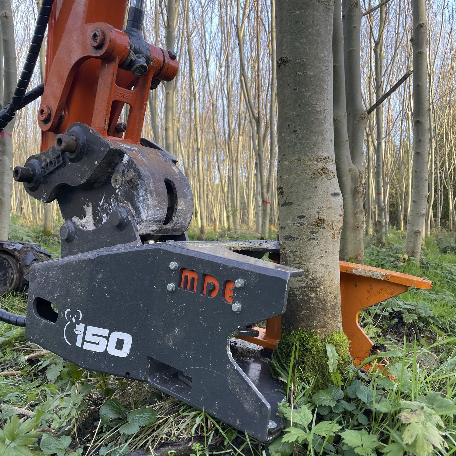 Tree shear - Koala 150 - MDE Machinery Ltd