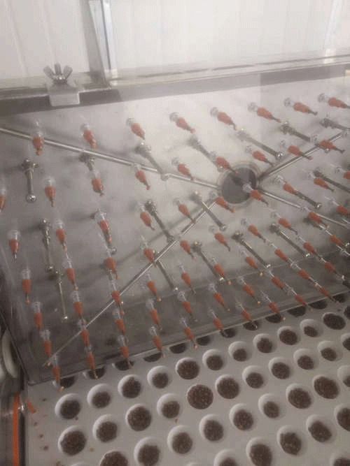 Automatic transplanting machine - Jiangsu Grow-Green Agriculture Co., Ltd.