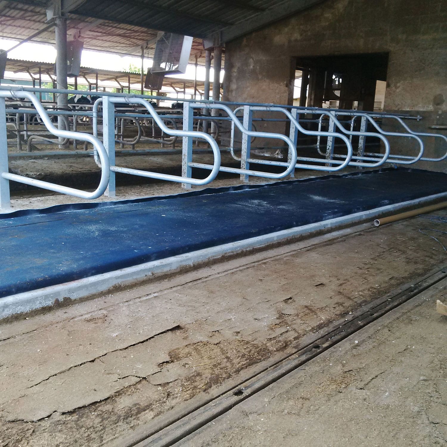 Foam cow mattress - Erilon Srl - for cubicles