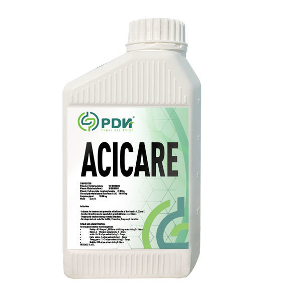 Acidifier feed additive - ACICARE - POWER DER NATUR GMBH - poultry ...