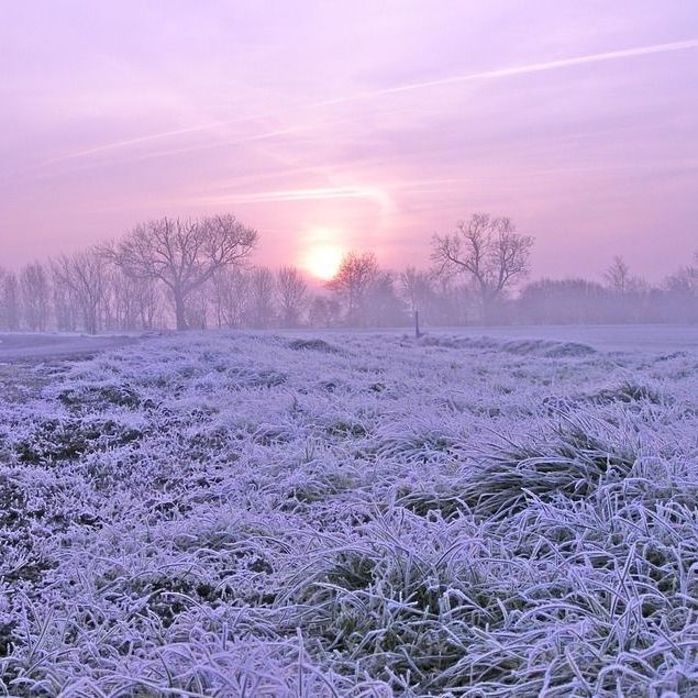 Weather data analysis software - SATGARDEN - data display systems ...